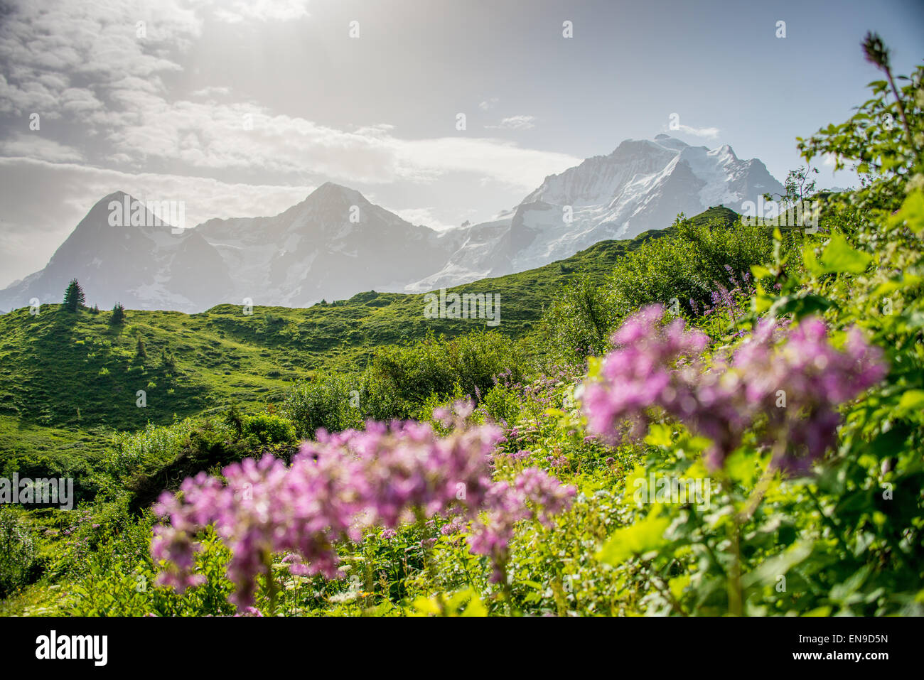 Eiger hi-res stock photography and images - Alamy
