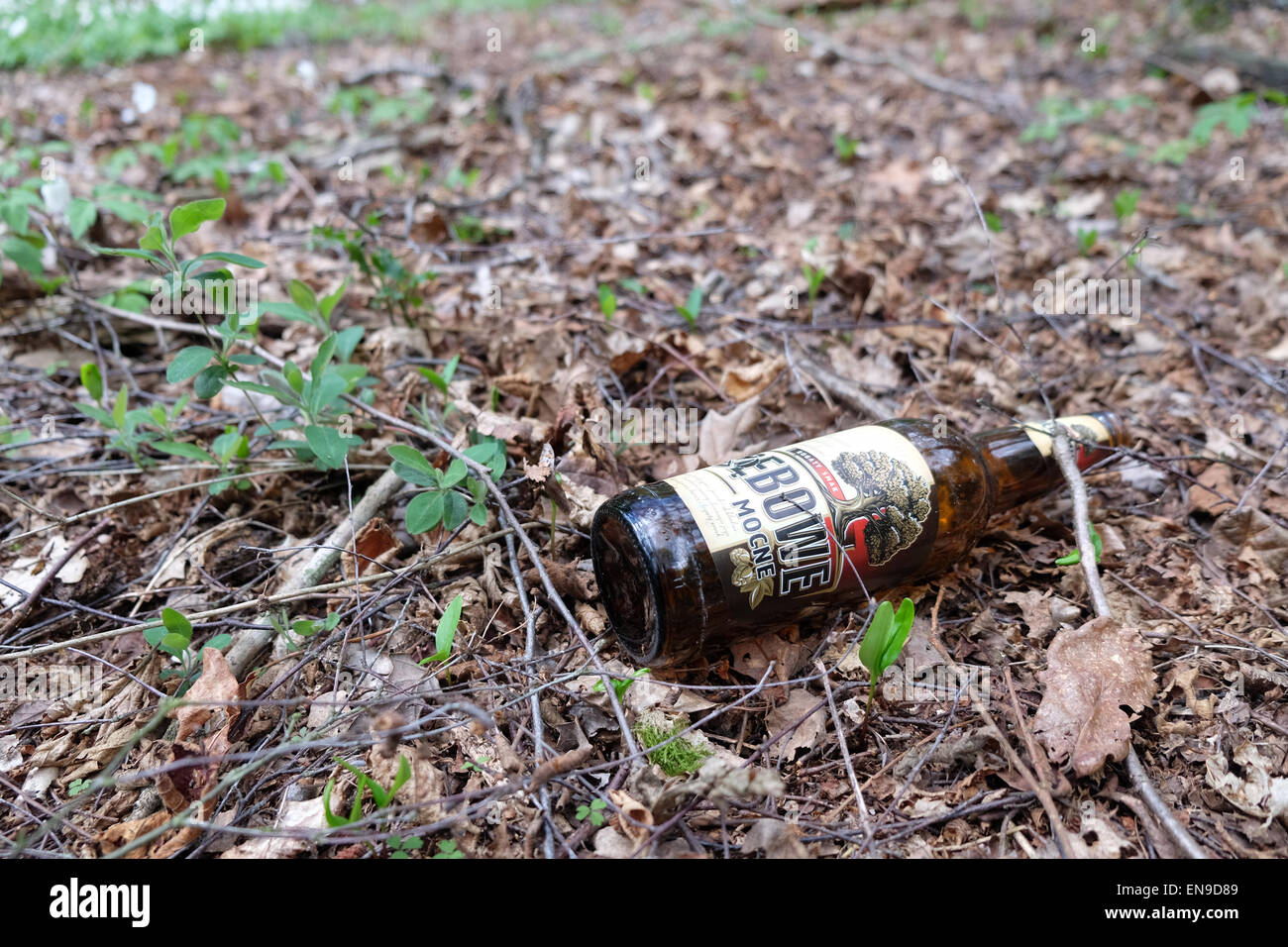 beer bottle dumped on the ground Stock Photo - Alamy