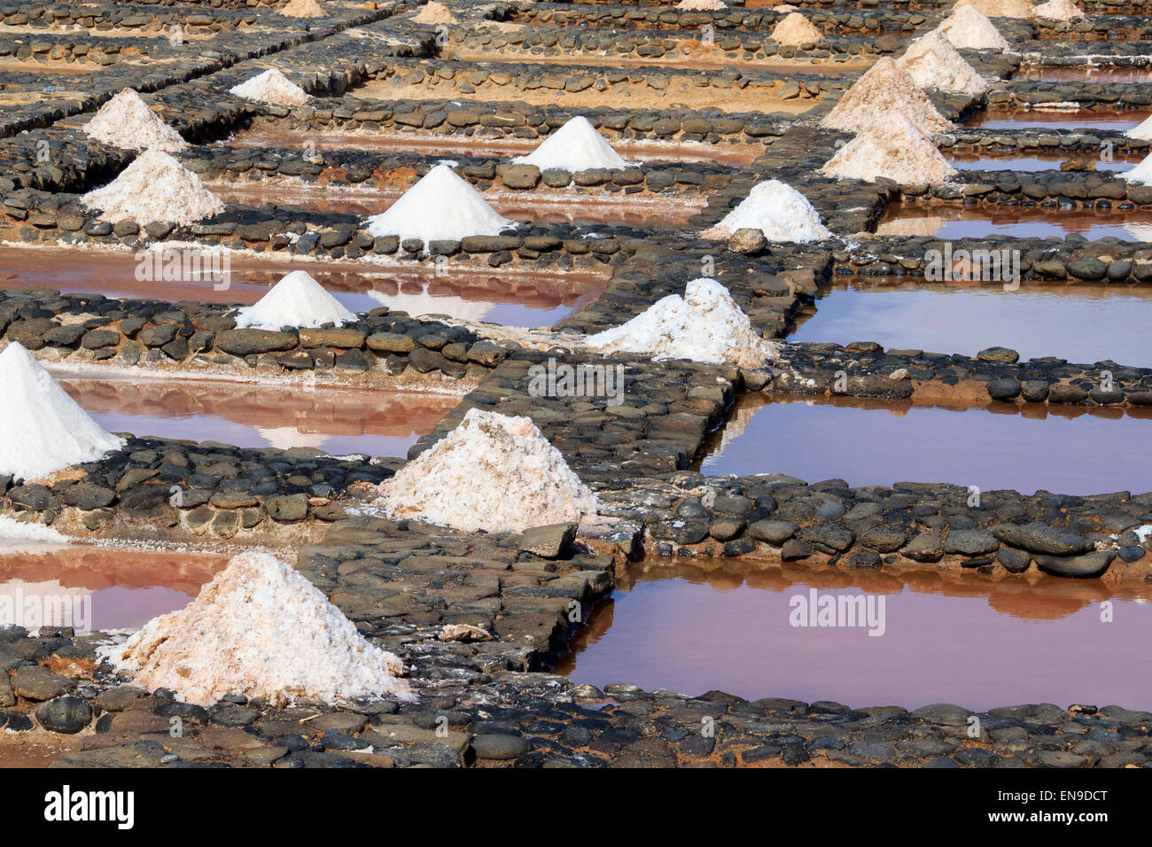 Sea Salt Production