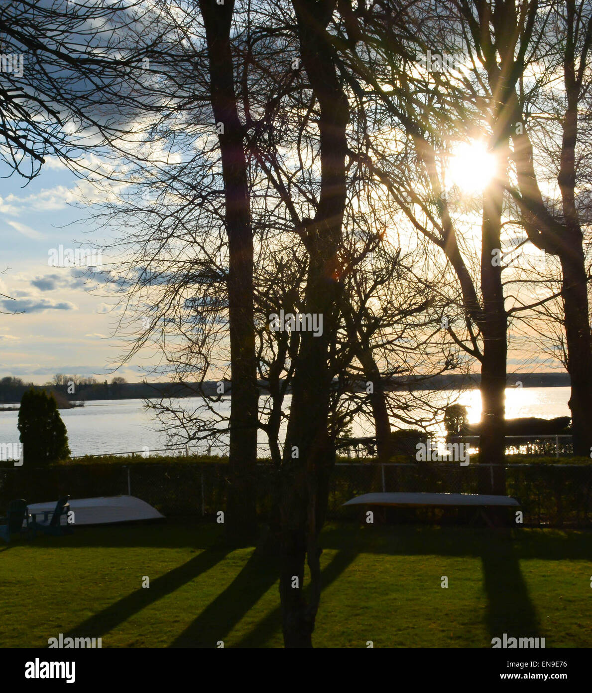 Sunset Through Trees Stock Photo - Alamy