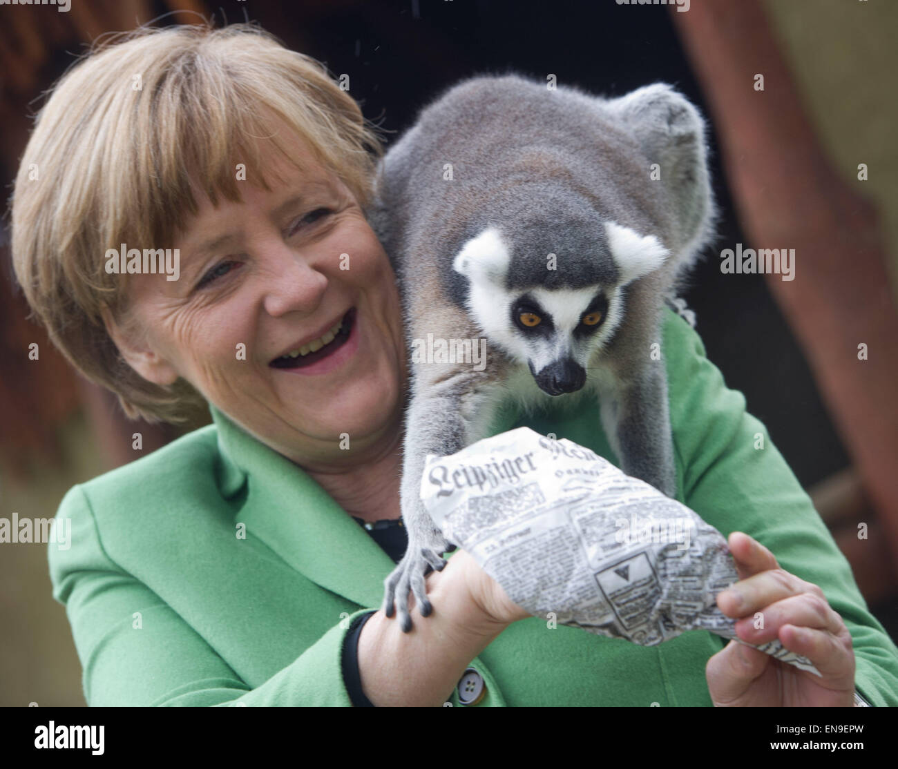 Marlow, Germany. 30th Apr, 2015. German Chancellor Angela Merkel feeds ...