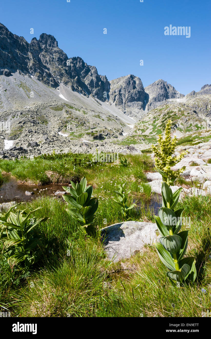 Velka dolina hi-res stock photography and images - Alamy