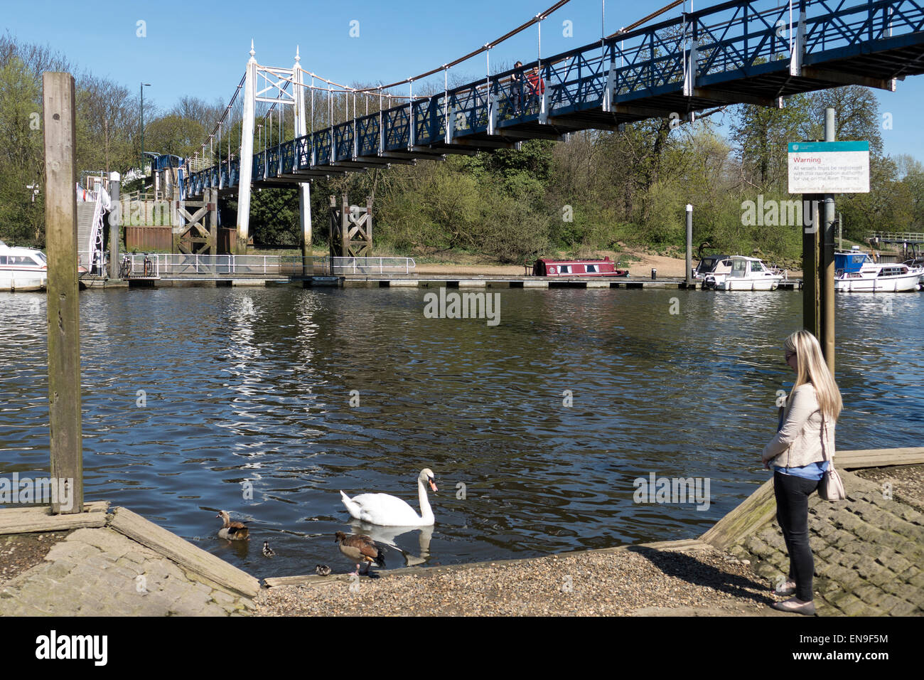 England, London, River Thames at Teddington Stock Photo - Alamy