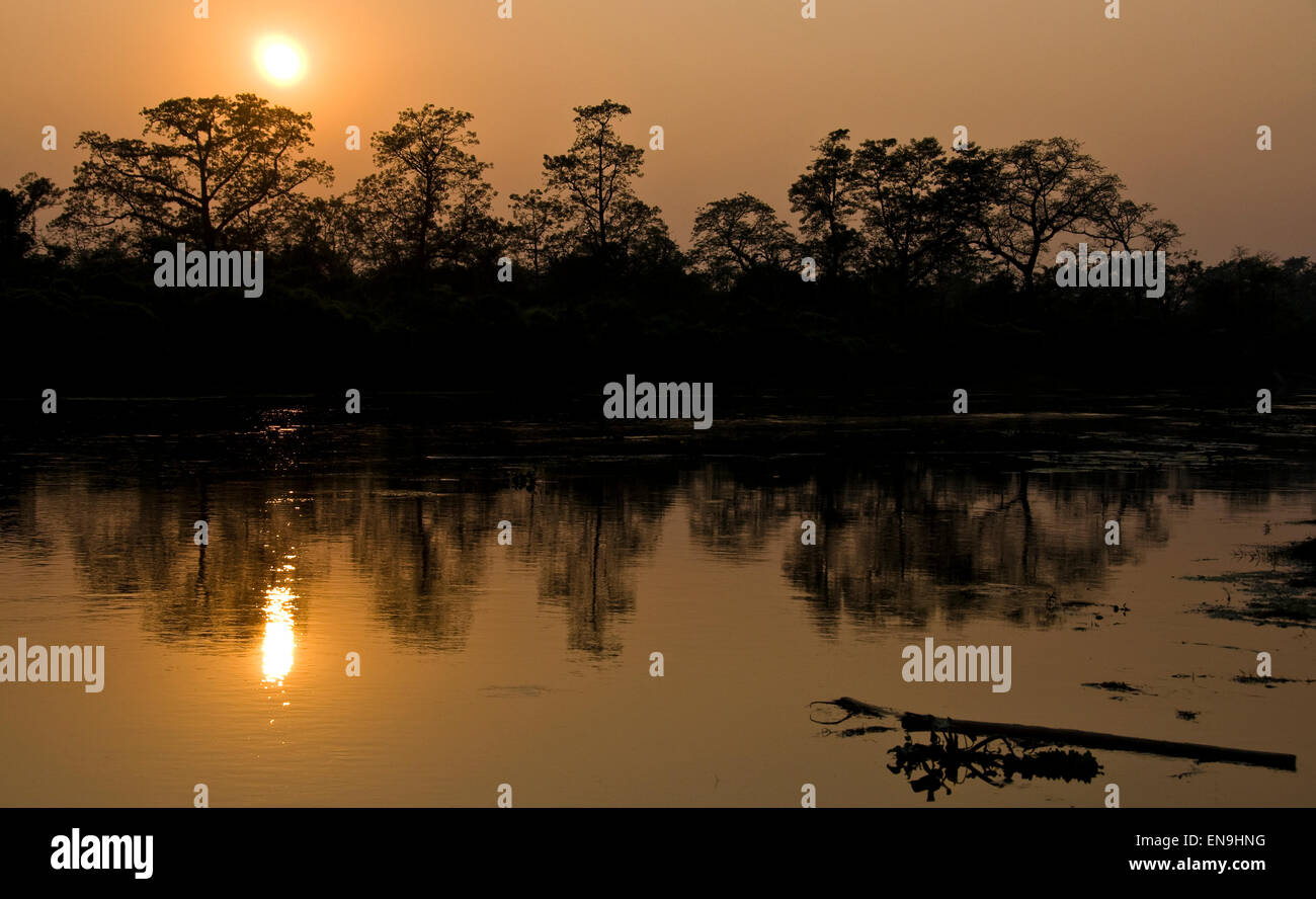 Those visiting Nepal look for this kaleidoscope of living colour and ...