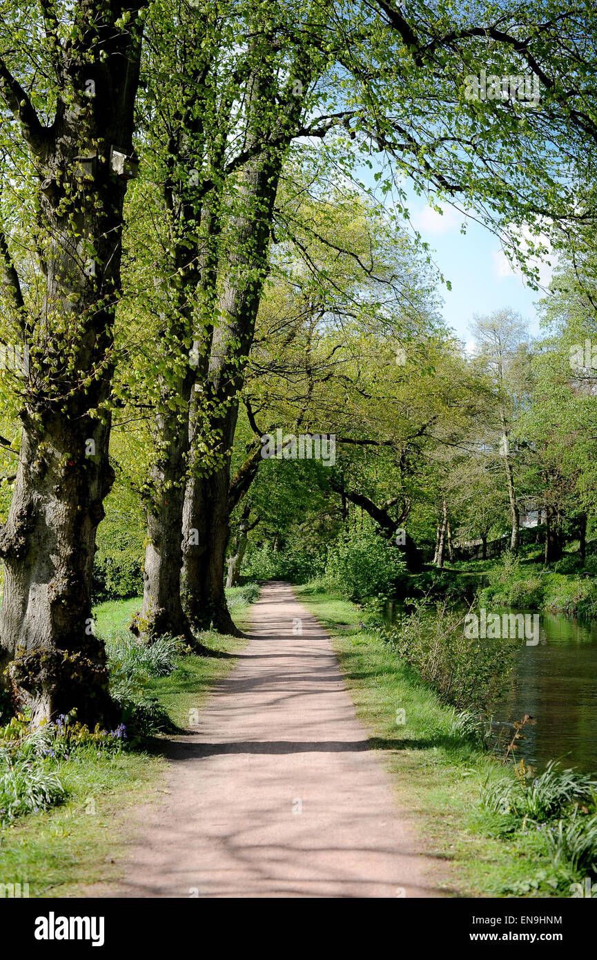 Canal towpath in park Stock Photo - Alamy