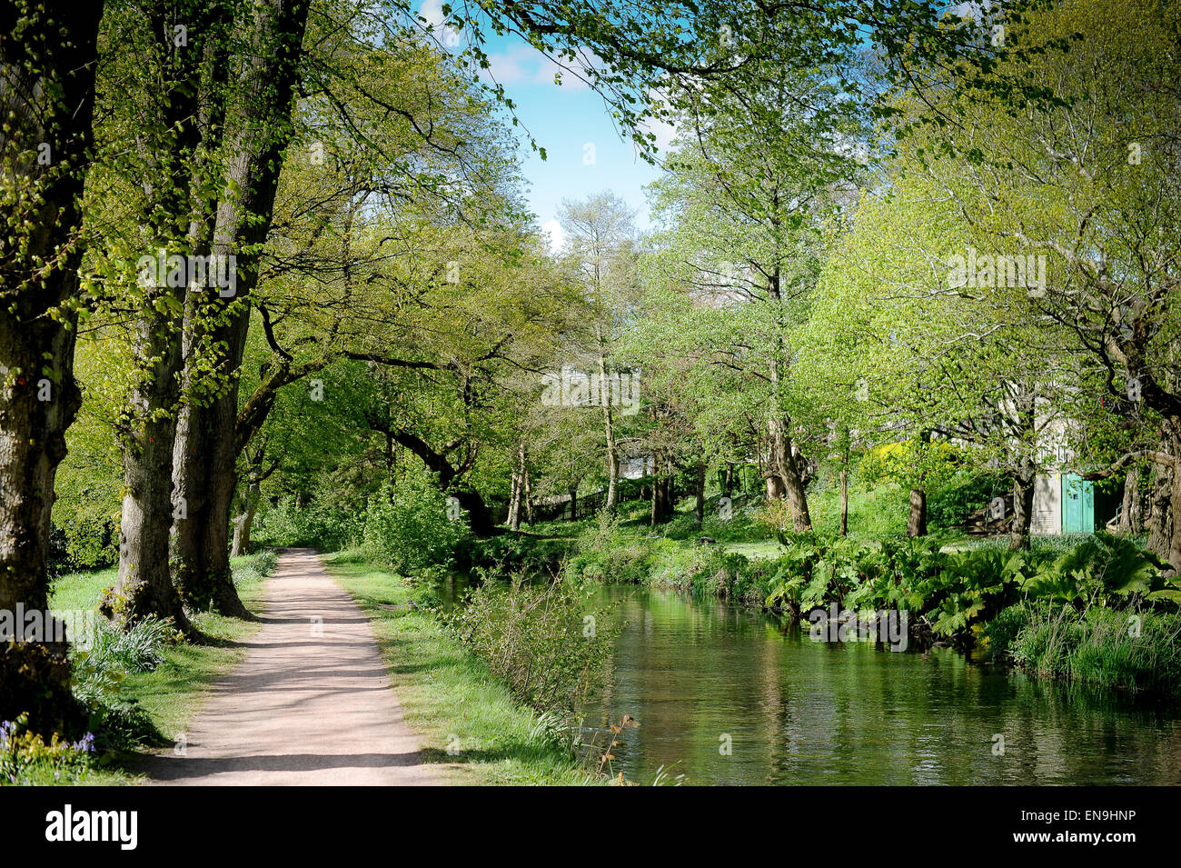 Canal towpath in park Stock Photo - Alamy