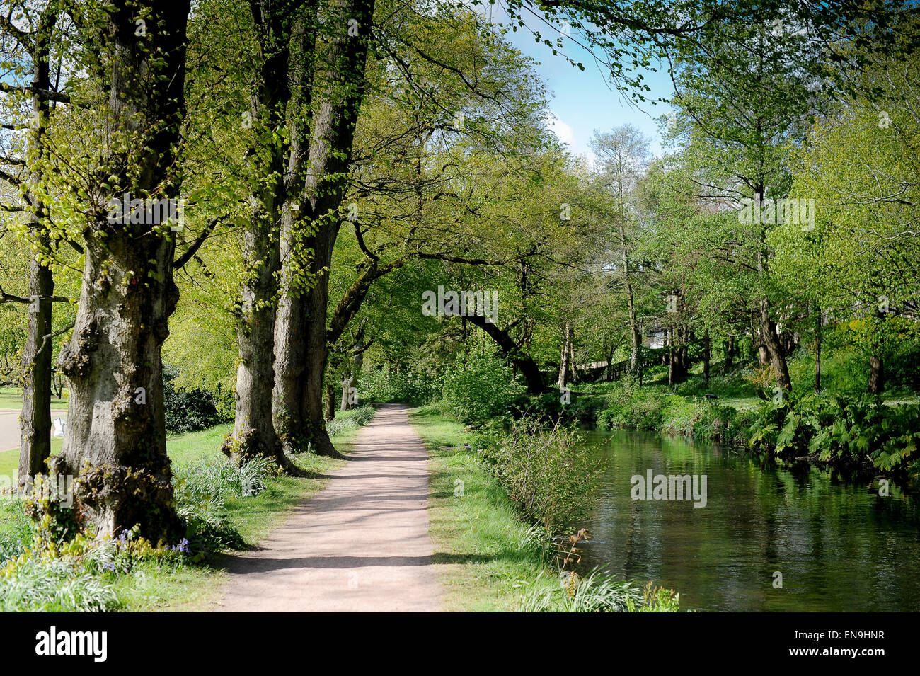 Canal towpath in spring Stock Photo - Alamy
