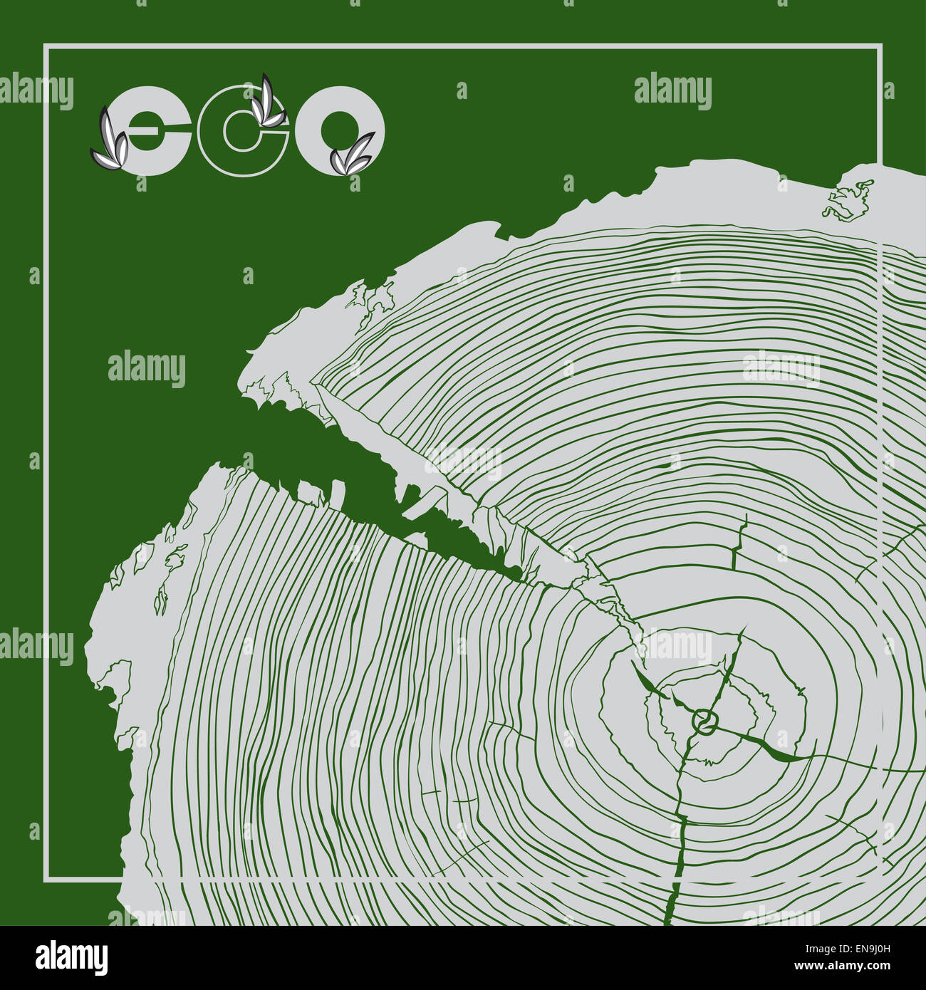 Tree cross section drawing hi-res stock photography and images - Alamy