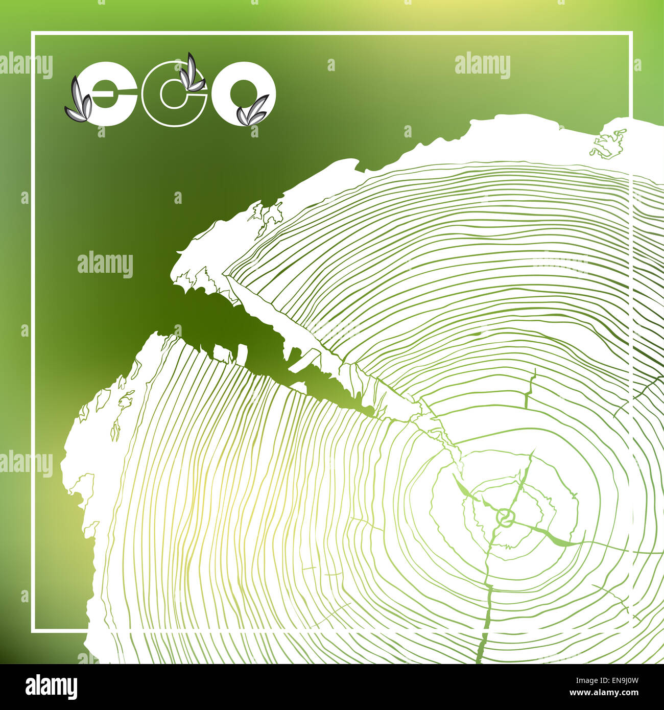 Tree cross section drawing hi-res stock photography and images - Alamy