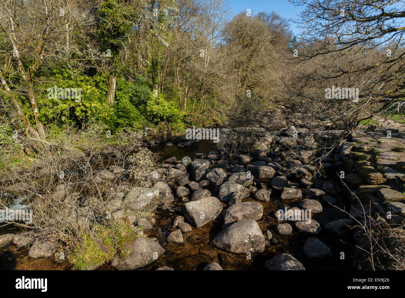 River Dart at Dartmeet Stock Photo - Alamy