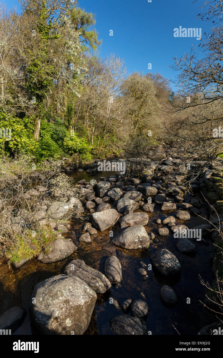 River Dart at Dartmeet Stock Photo - Alamy