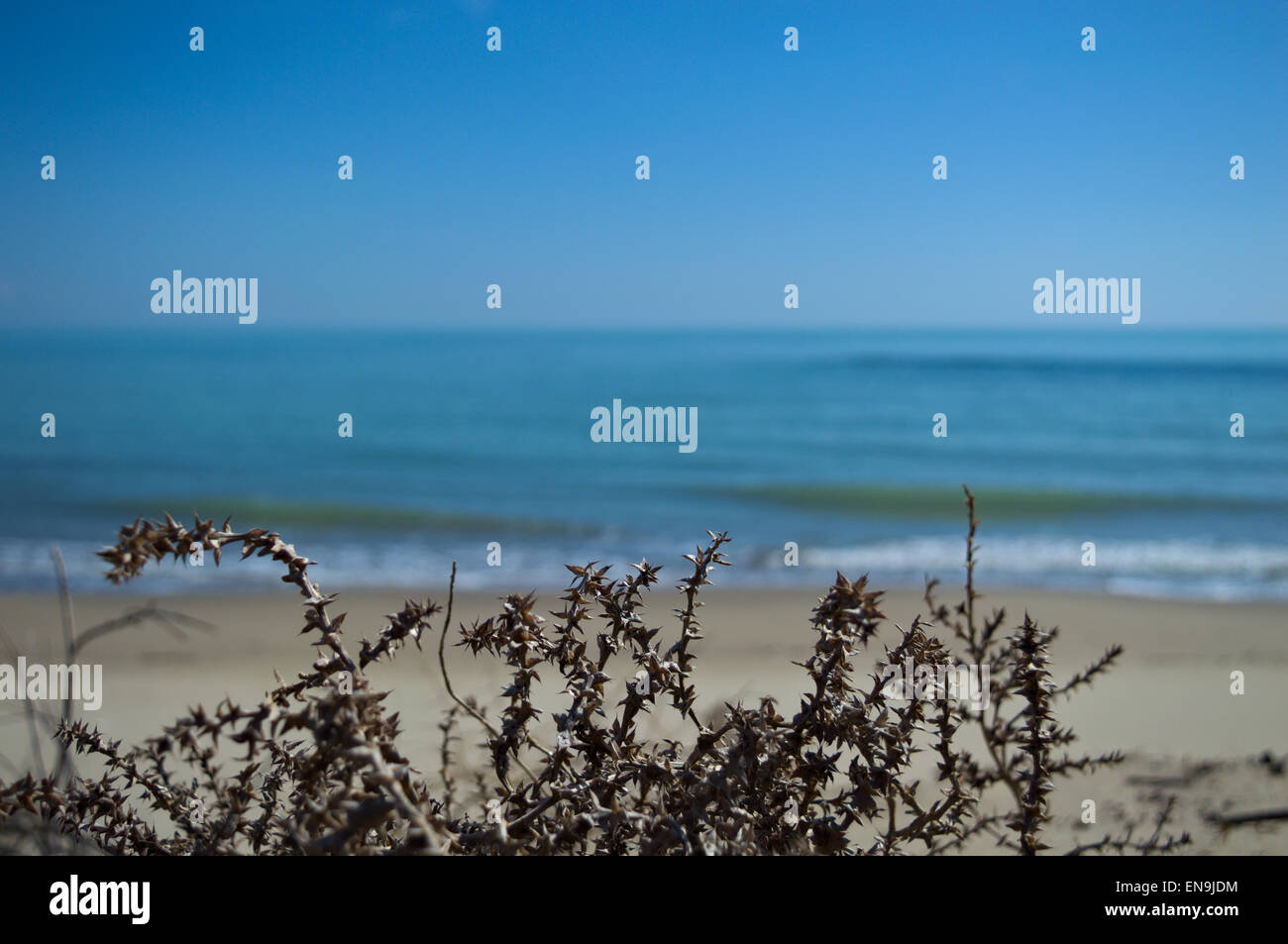 Thorns Beach High Resolution Stock Photography and Images - Alamy