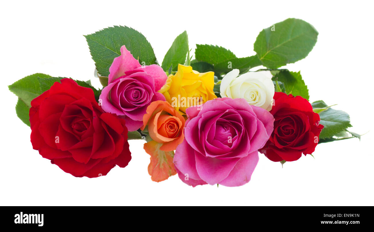 bouquet of fresh roses Stock Photo - Alamy