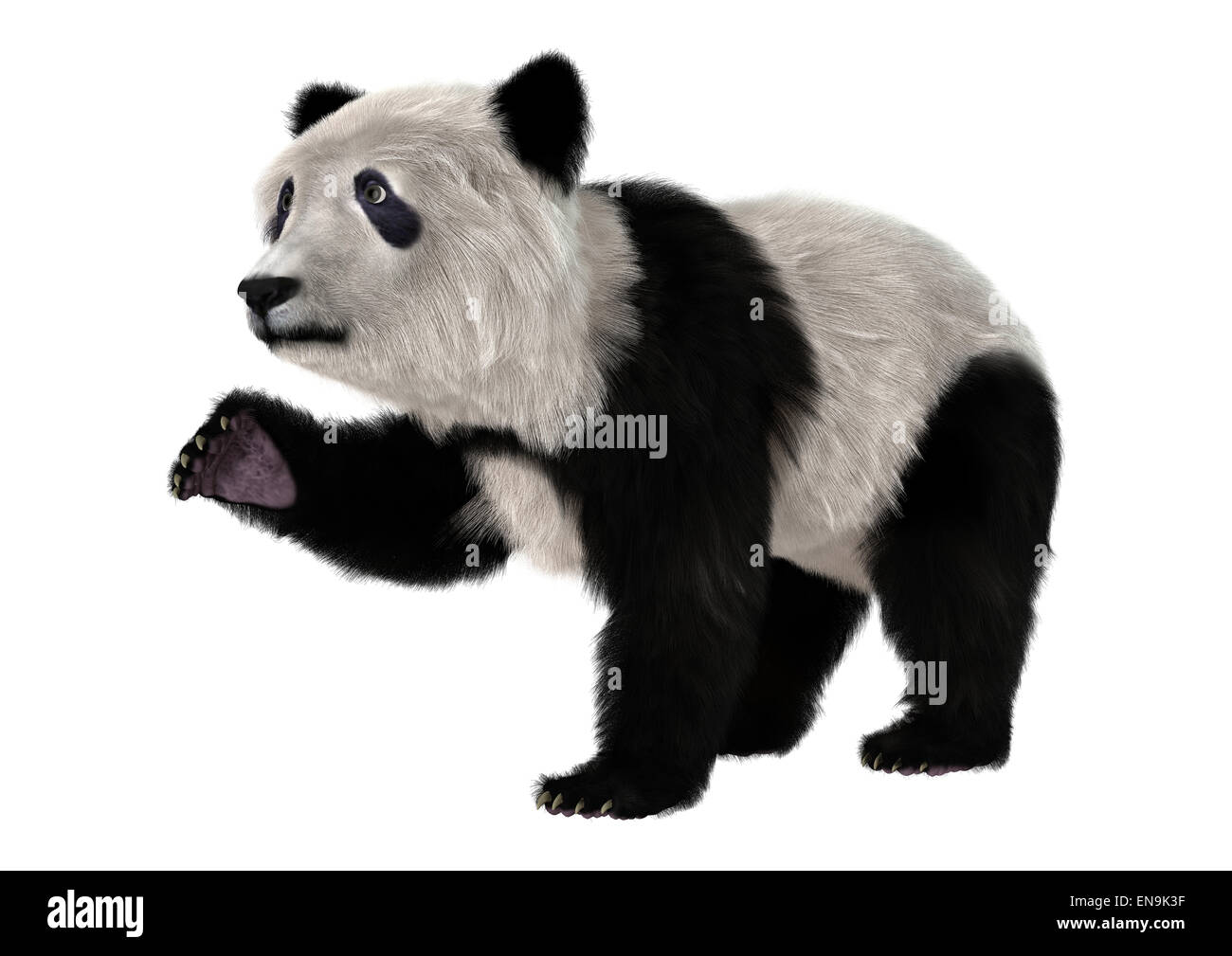 3D digital render of a panda bear cub resting isolated on white ...