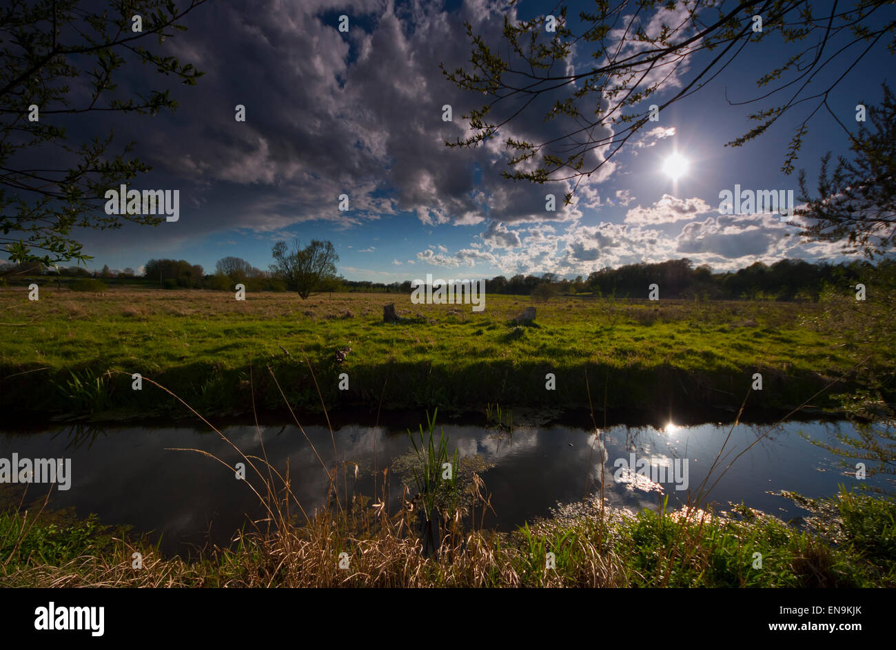 Water meadow field farmland Stock Photo - Alamy