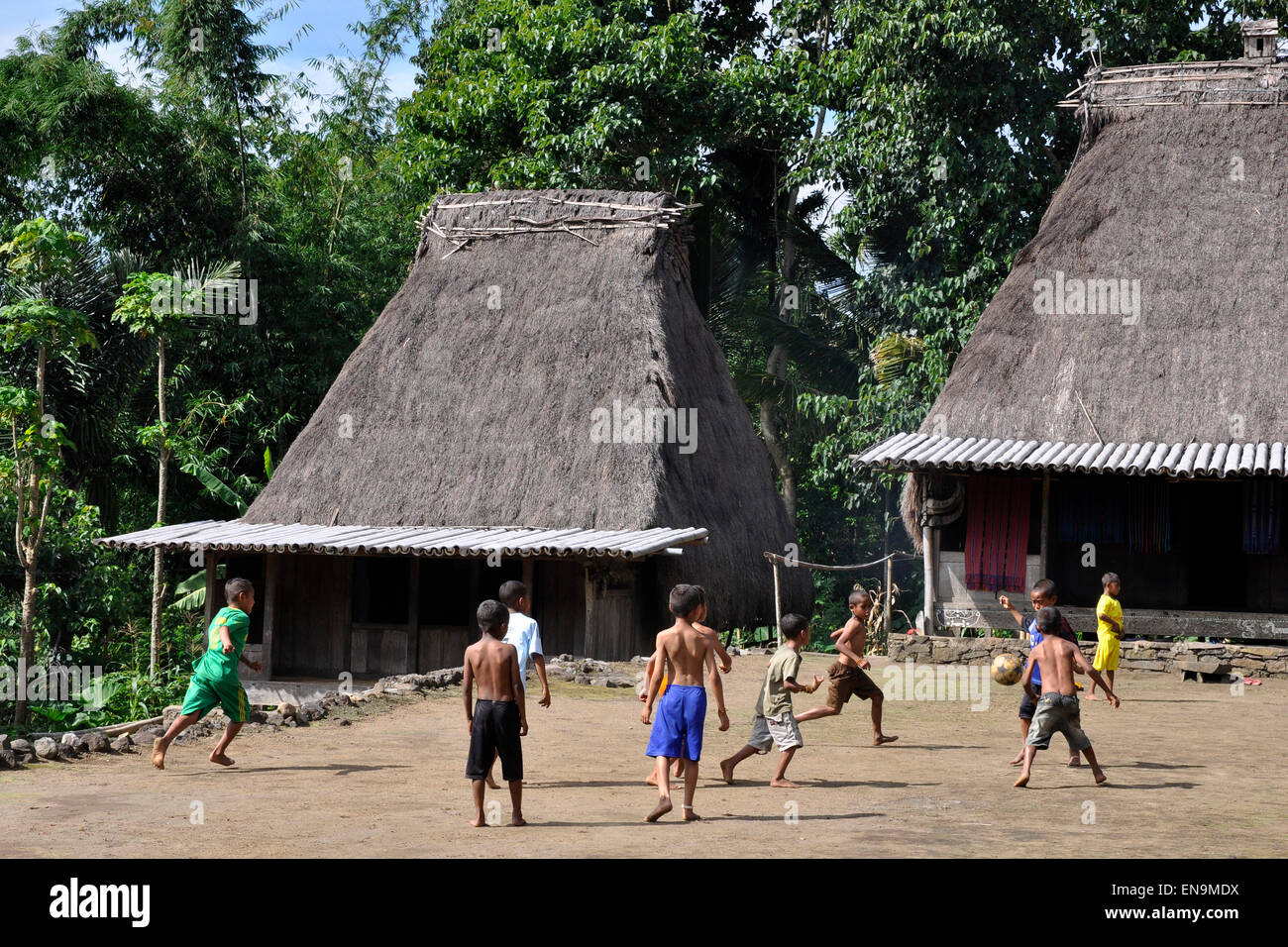Indonesia, Flores island, Luba village Stock Photo - Alamy
