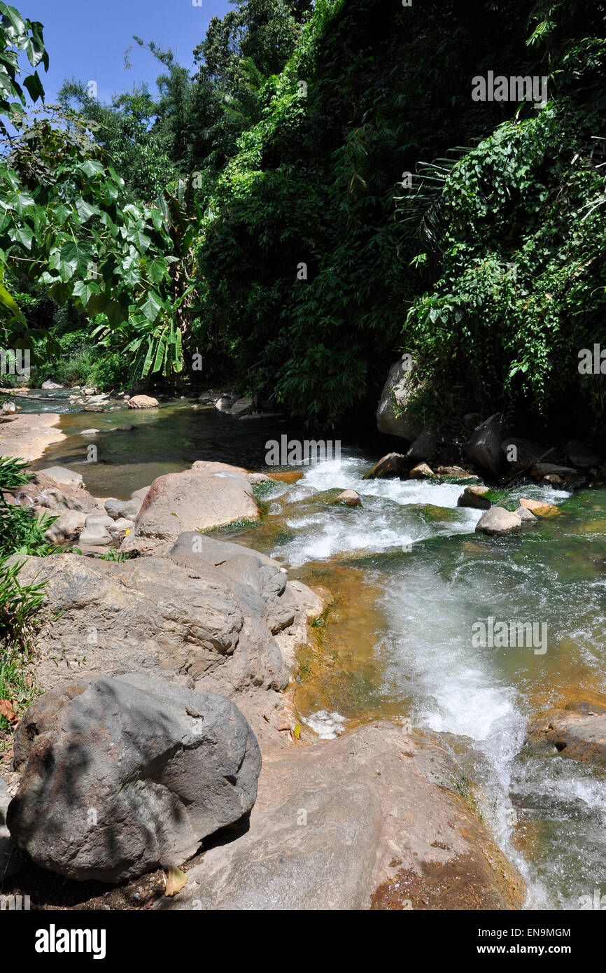 Indonesia, Flores island, Bajawa, Malanage hot spring Stock Photo - Alamy