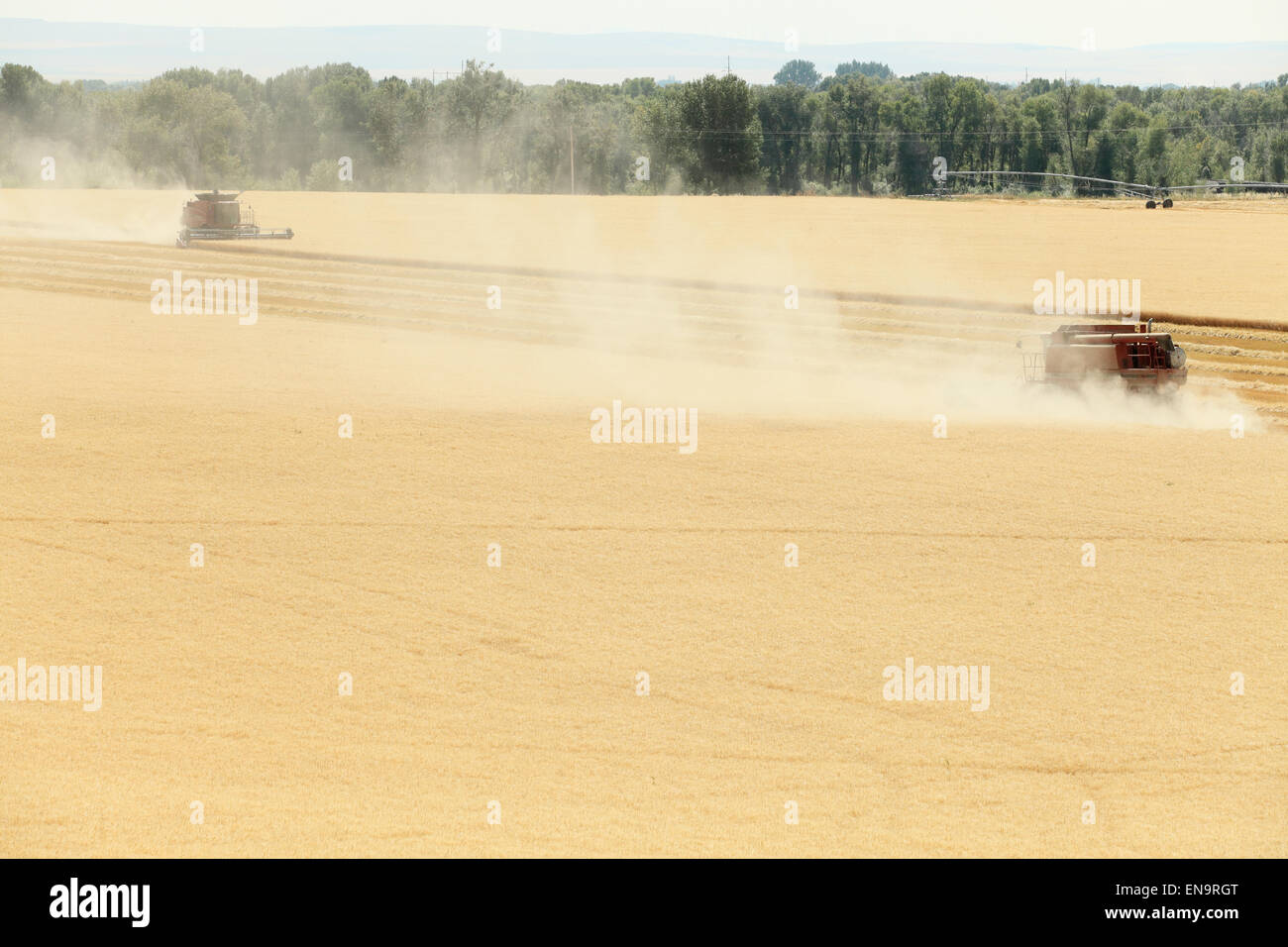 An aerial view of farm machinery in the field harvesting wheat Stock ...
