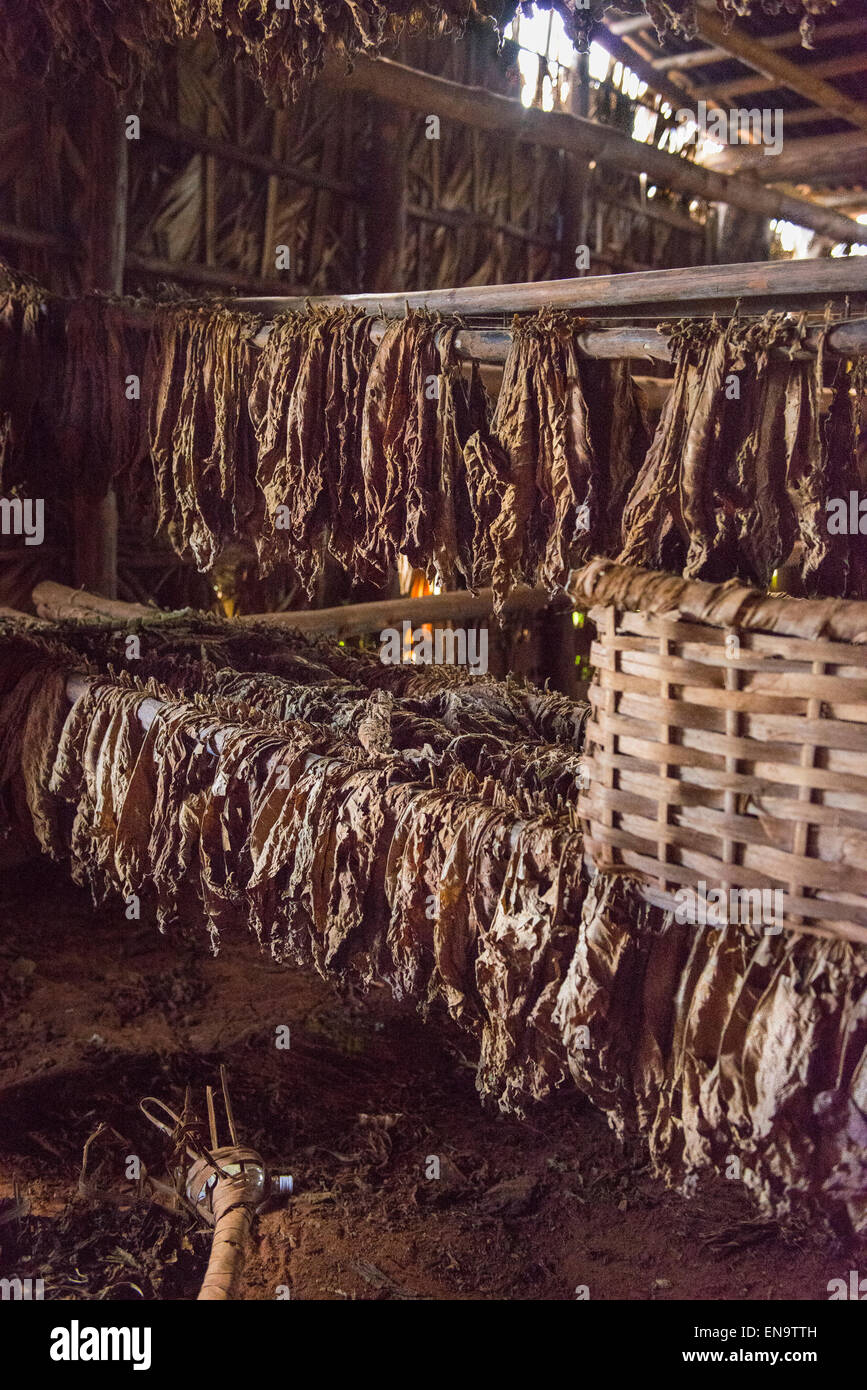 Dm14cv3105 hi-res stock photography and images - Alamy