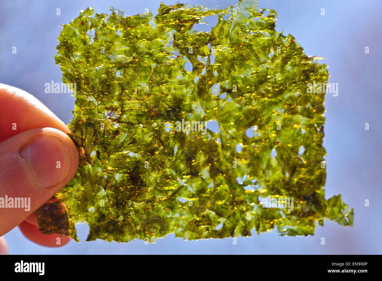 Edible seaweed hi-res stock photography and images - Alamy