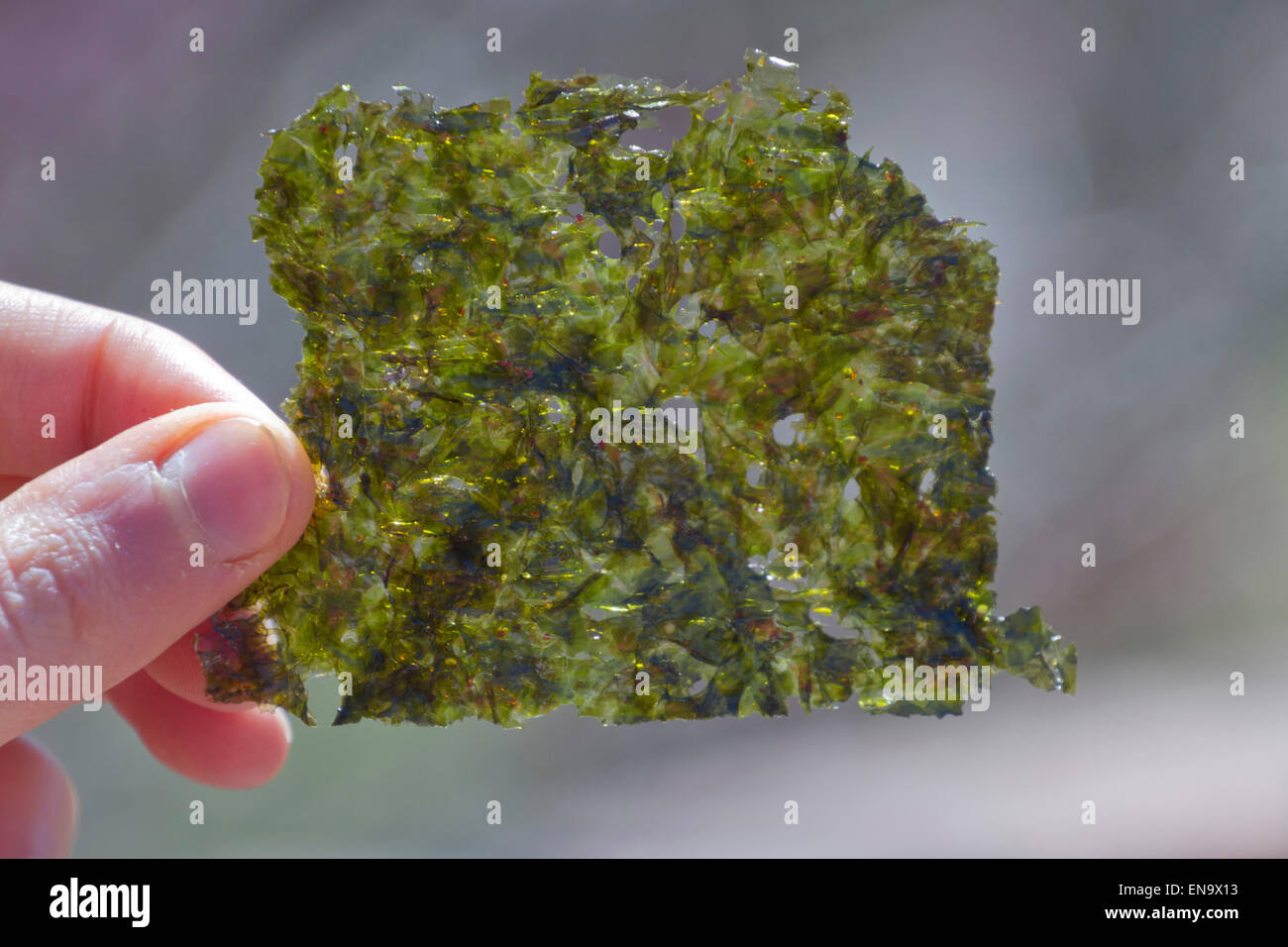 Edible seaweed hi-res stock photography and images - Alamy