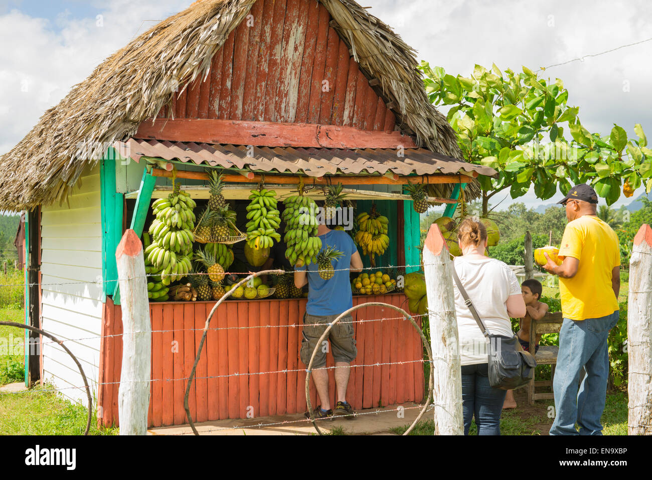 Cuba Vinales local greengrocer fruitier shop store kiosk prefab bananas ...