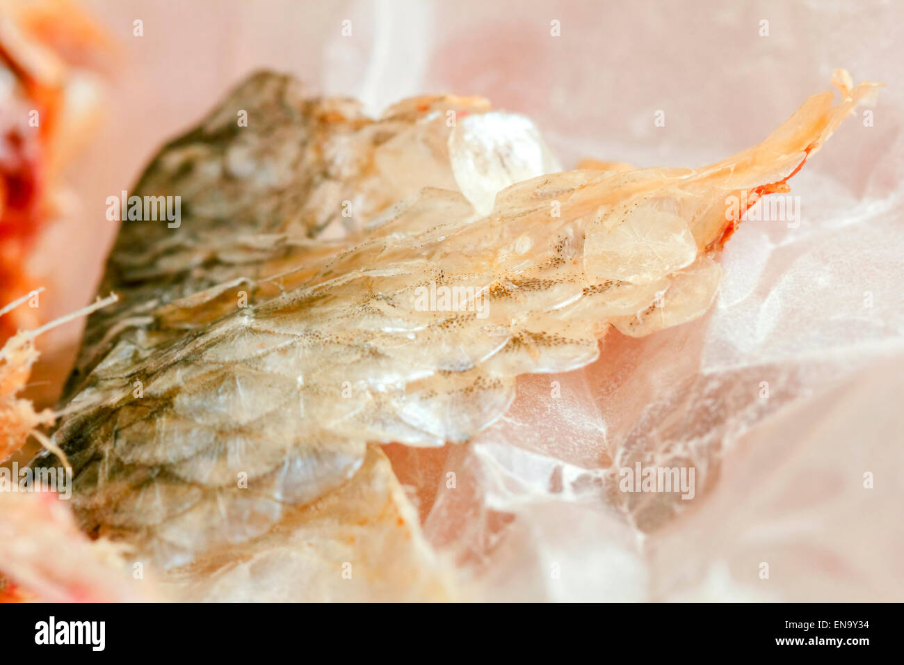 Mood scale hi-res stock photography and images - Alamy