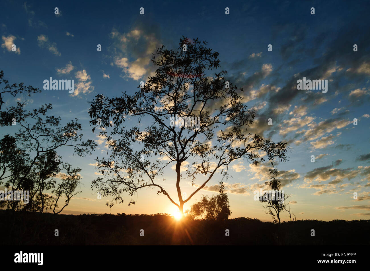Sunset, Mt Hart, Kimberley, Western Australia Stock Photo - Alamy