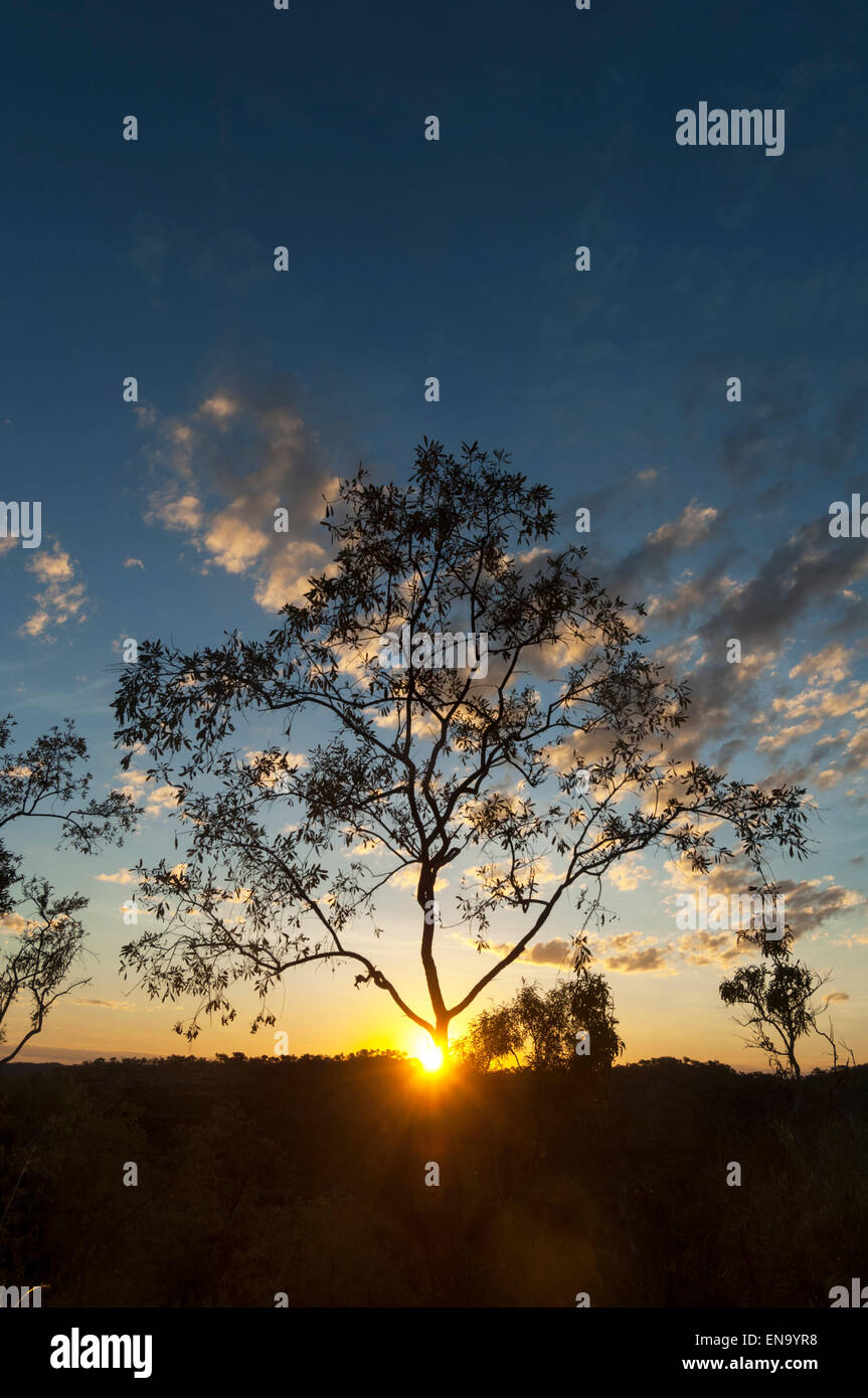 Sunset, Mt Hart, Kimberley, Western Australia, WA, Australia Stock ...