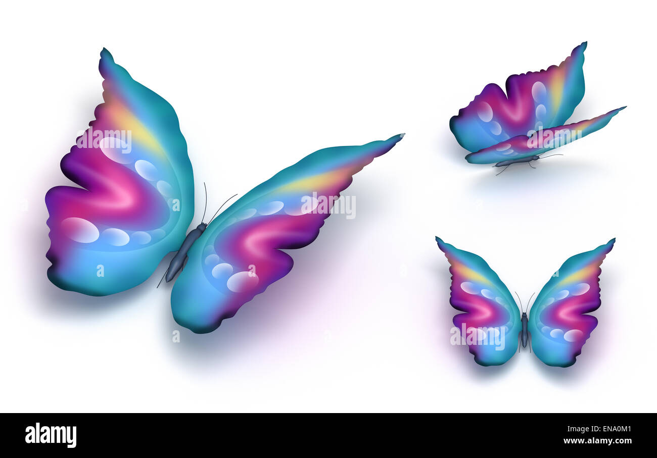 Multicolor butterfly. Isolated on white Stock Photo - Alamy