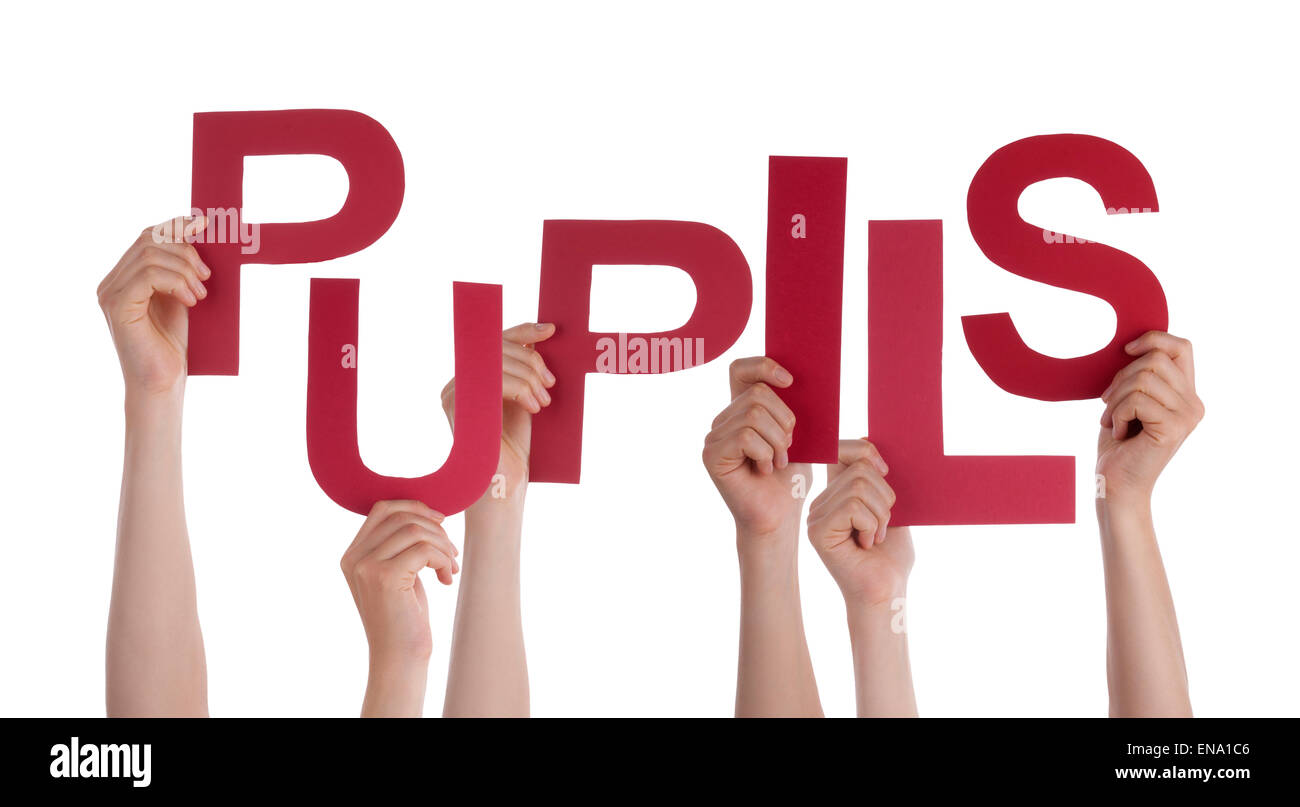 Many People Hands Holding Red Word Pupils Stock Photo - Alamy