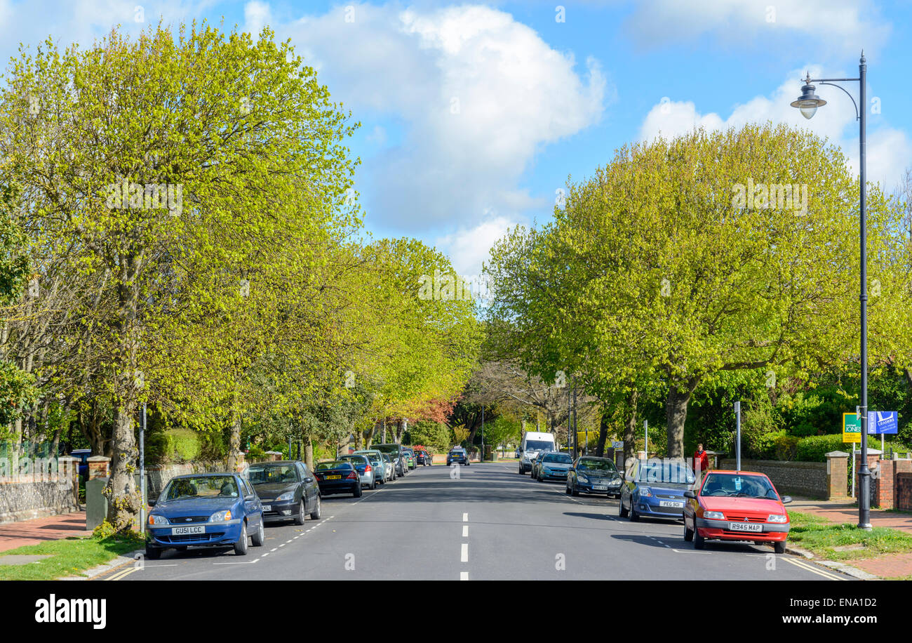 A wide straight residential road with trees either side and blue sky ...