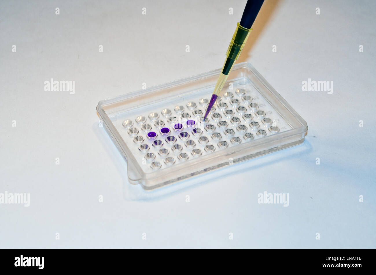 In biological research laboratories. The wells and printed samples of ...