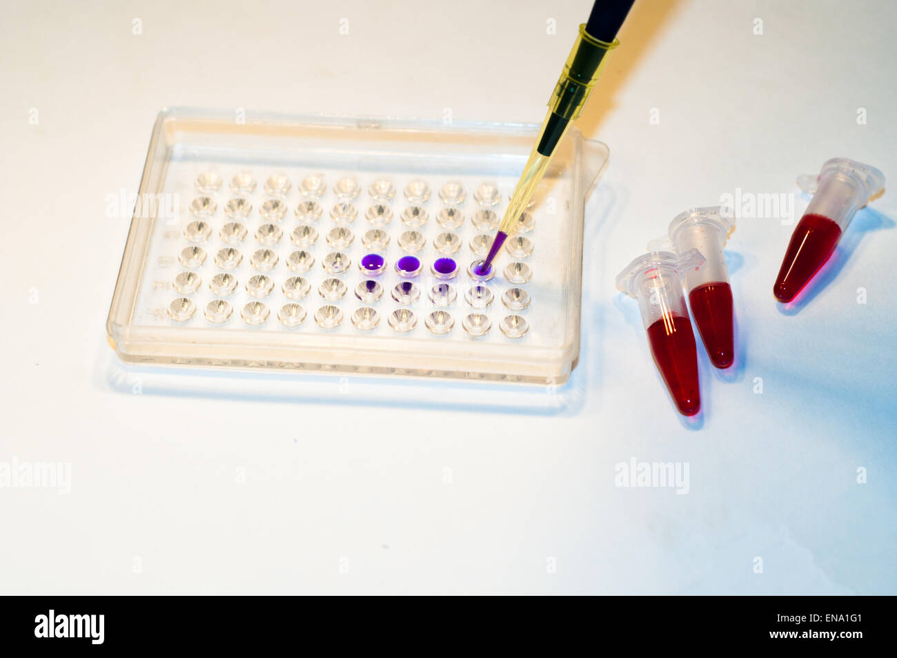 In biological research laboratories. The wells and printed samples of ...
