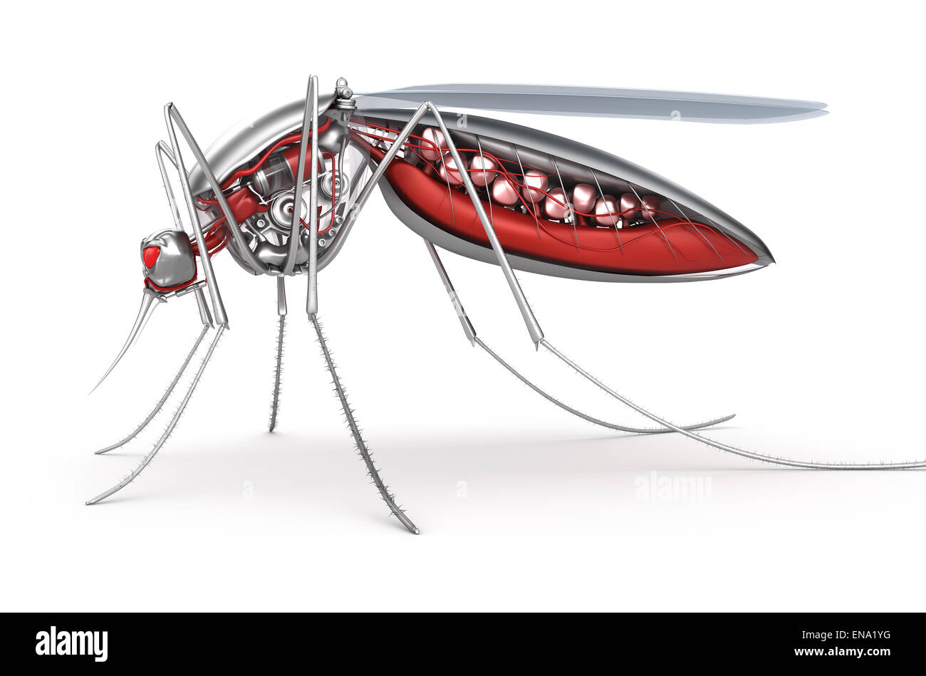 Mosquito. Robot bloodsucker. Isolated on white Stock Photo - Alamy