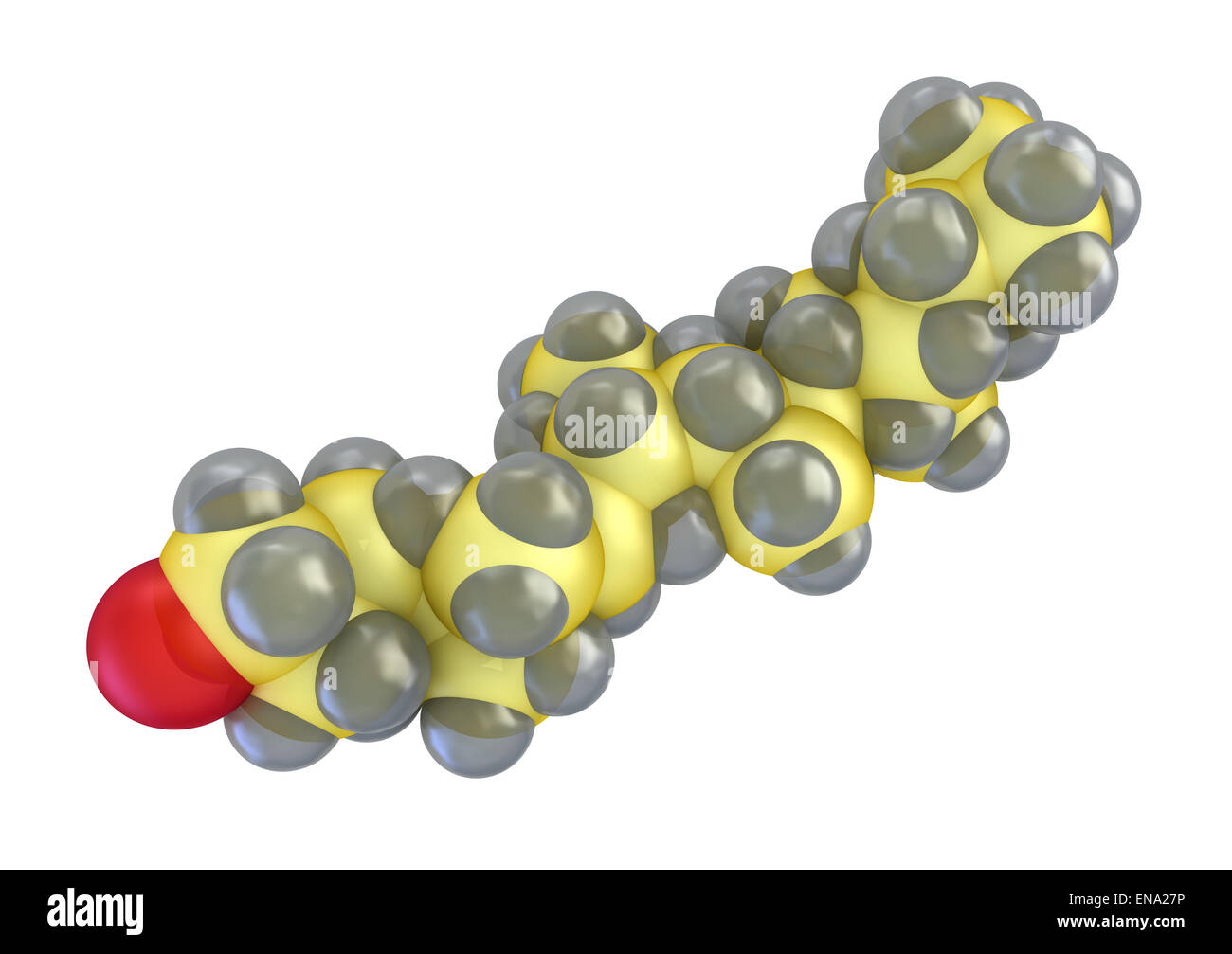 Cholesterol molecular model Cut Out Stock Images & Pictures - Alamy
