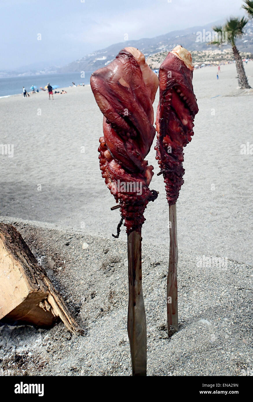 Roasted Squid on a Spanish beach on display by being wrapped around ...