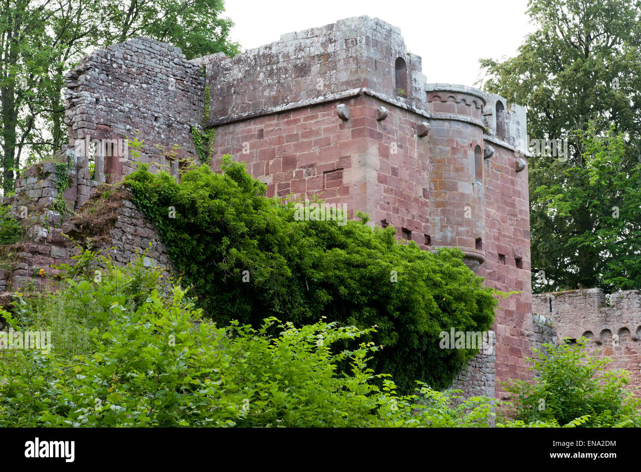 Castle ruins Wildenburg on the Wildenberg, Kirchzell, Odenwald, Bavaria ...