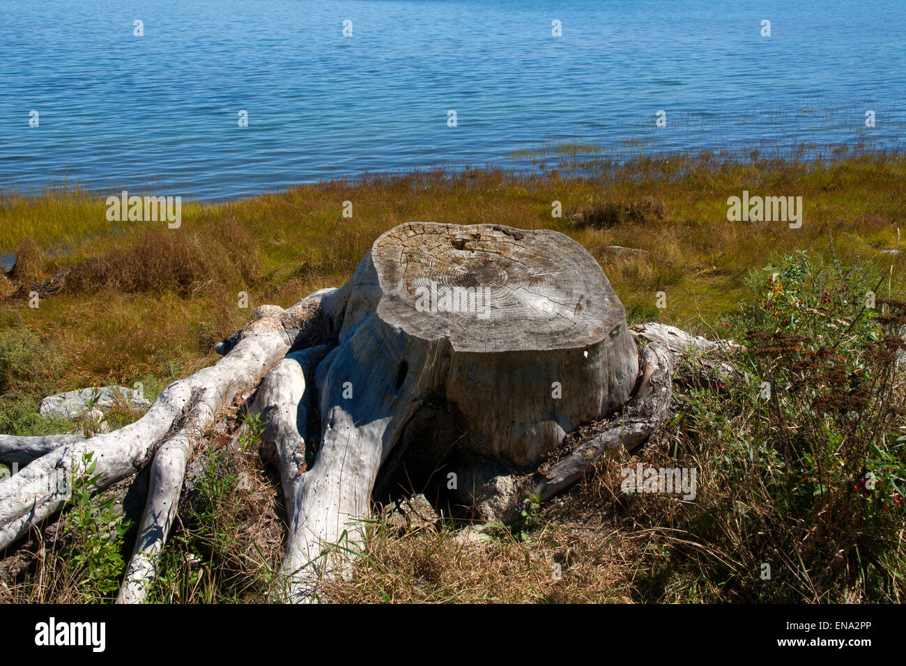 Thompson island hi-res stock photography and images - Alamy