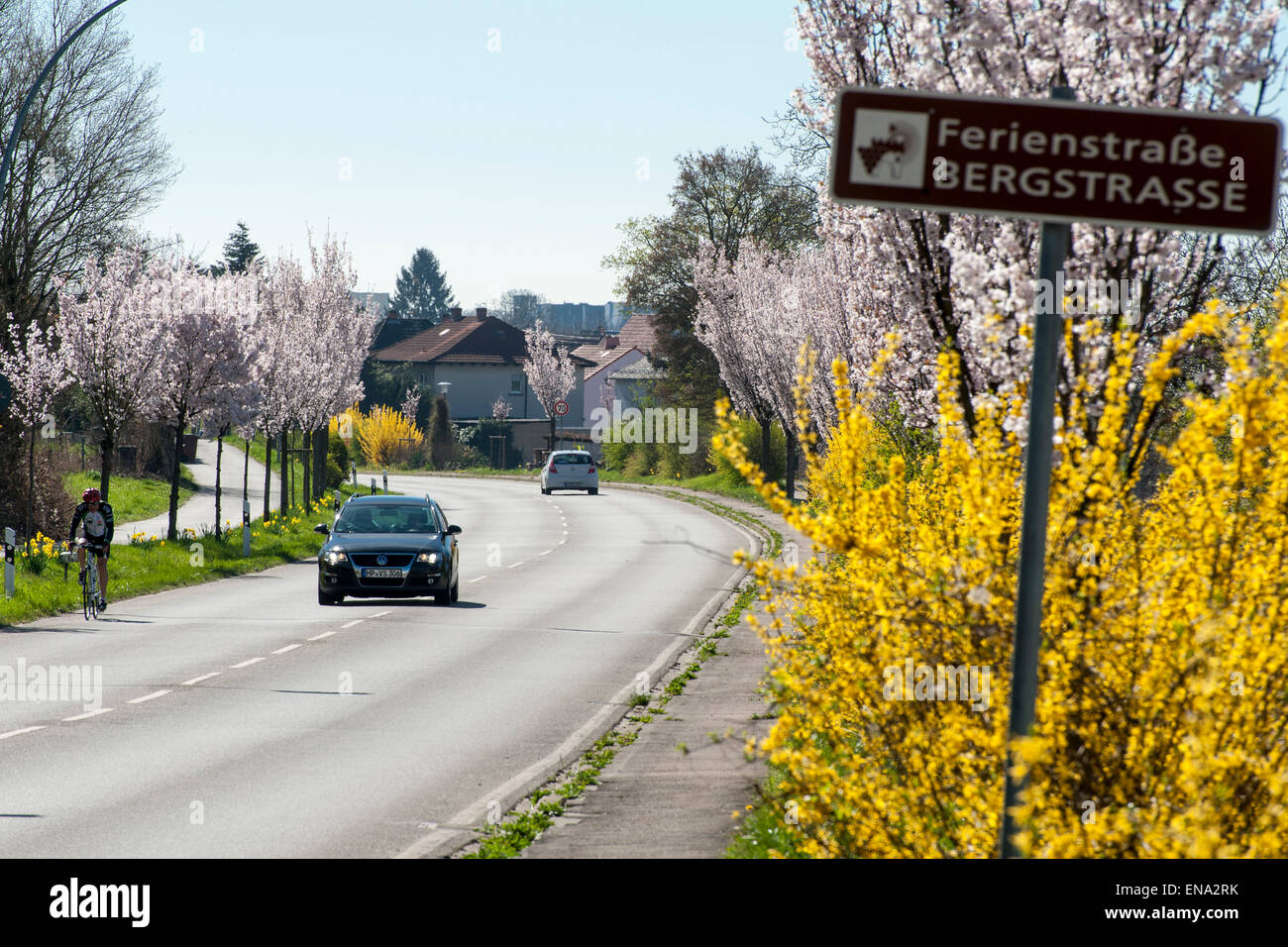 Bergstrasse route hi-res stock photography and images - Alamy
