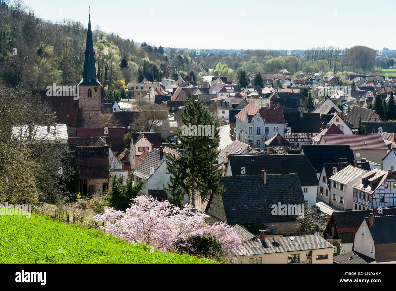 Blick auf Laudenbach, Bergstraße, Baden-Württemberg, Deutschland | view ...