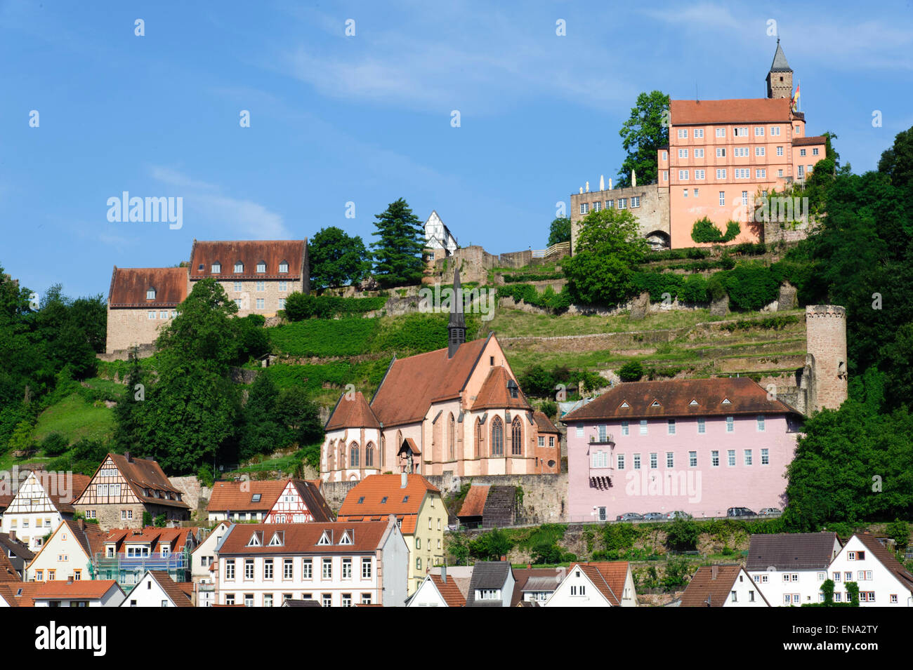 Old Town and Castle, Hirschhorn, Neckar, Hessen, Germany Stock Photo ...
