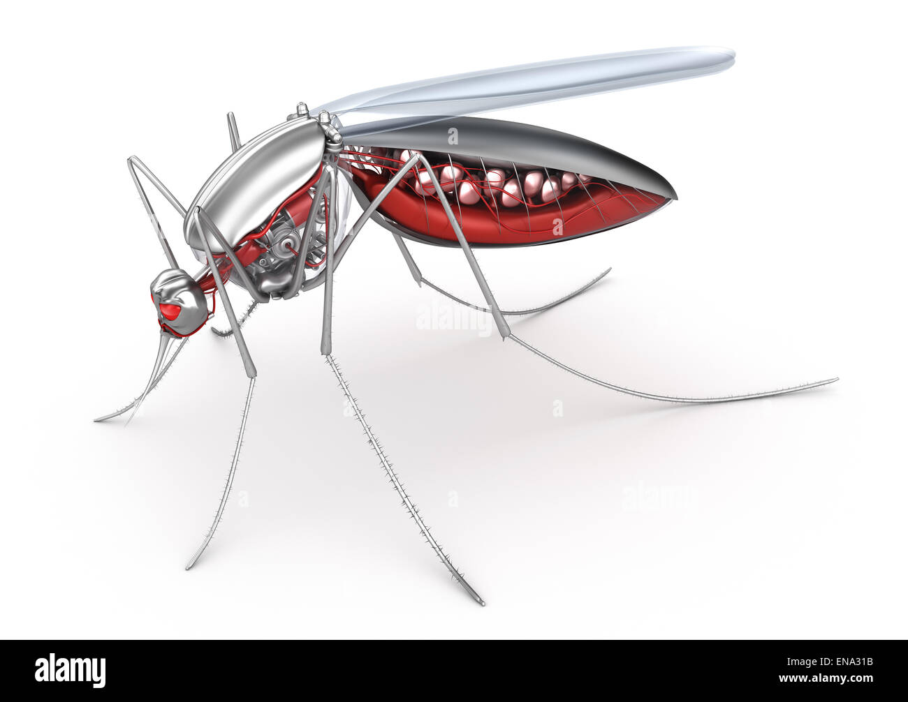 Bloodsucker Cut Out Stock Images & Pictures - Alamy