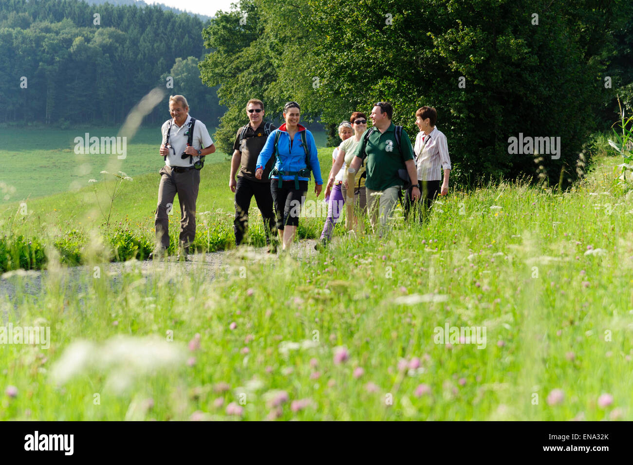 guided walking tour with Ranger in Wald-Michelbach, Odenwald, Hesse ...