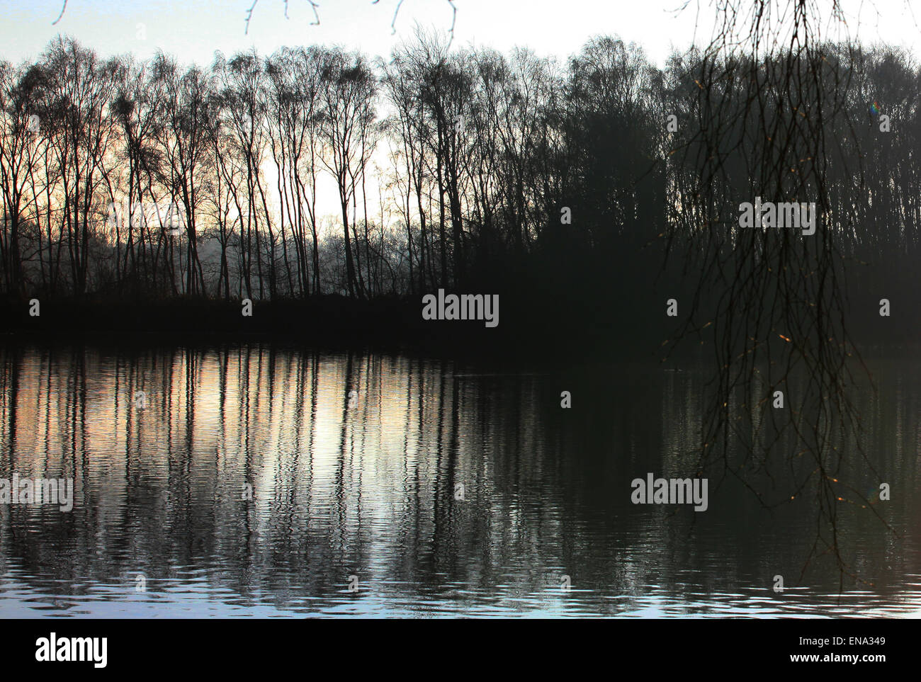 Cooling benefits of tree shade hi-res stock photography and images - Alamy