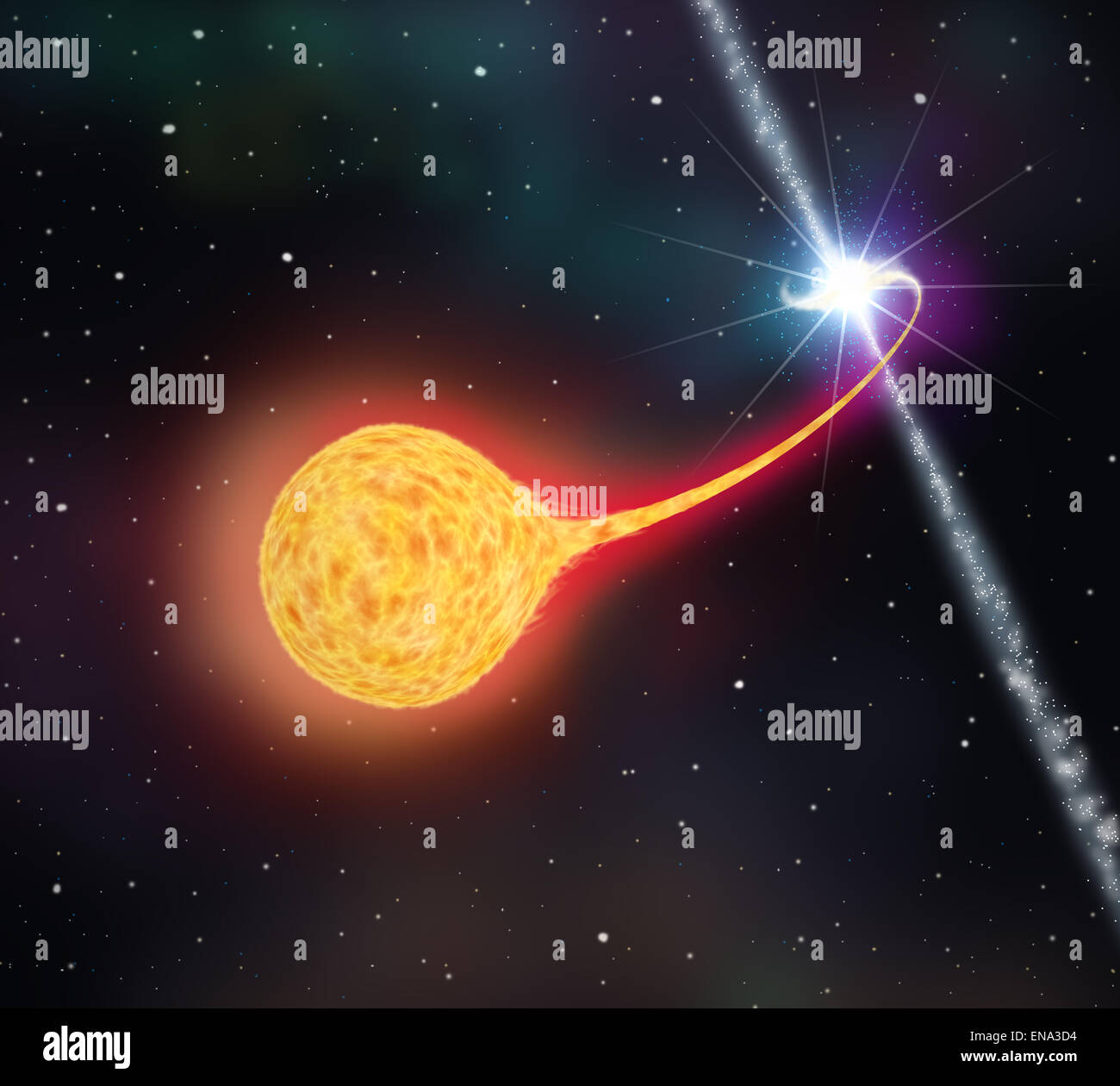 Pulsar In A Black Hole