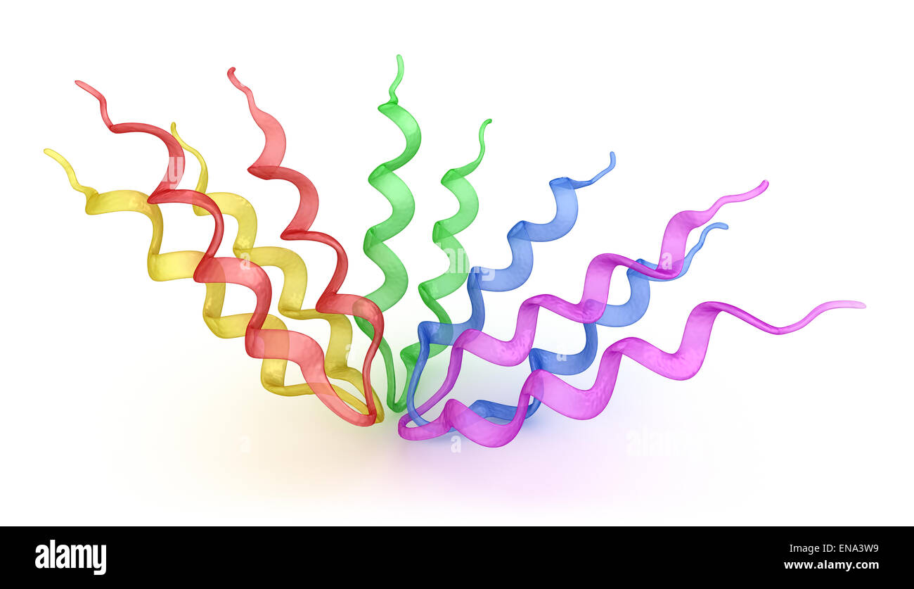 Protein 3D model Stock Photo - Alamy