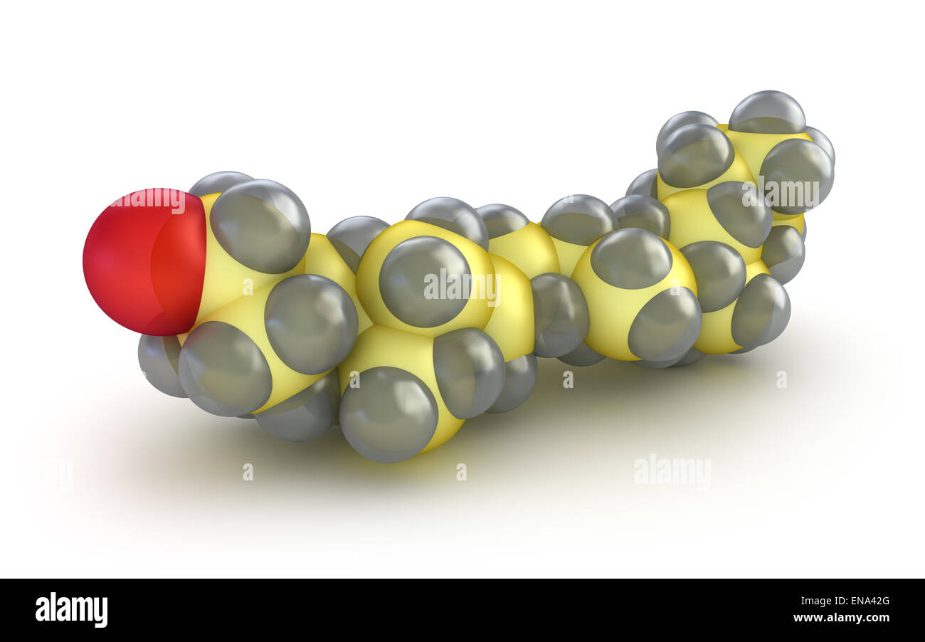 Cholesterol molecular model Cut Out Stock Images & Pictures - Alamy