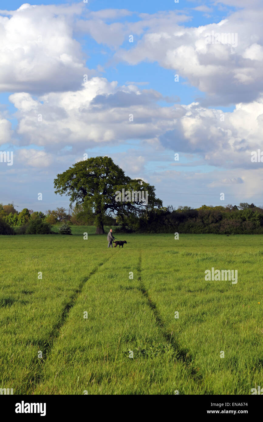 Tolworth court farm fields hi-res stock photography and images - Alamy