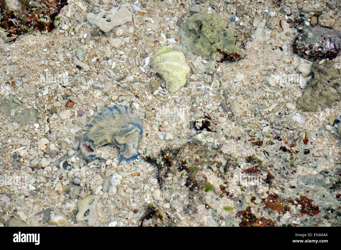 Indonesia, Sumba island, Marosi beach Stock Photo - Alamy